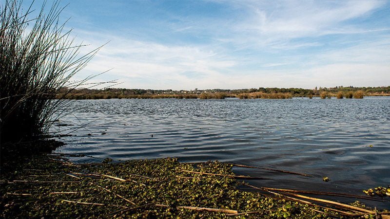 El clima en Entre Ríos continúa aumentando su temperatura